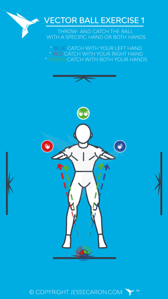 Functional Speed Training – Vector Ball – Cognitive Vision Exercises ...